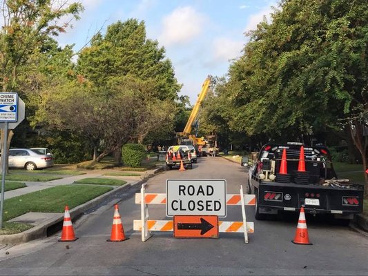 FANNIN TREE FARM - Updated December 2025 - 44 Photos & 70 Reviews ...