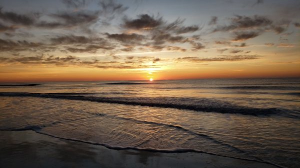 COLIGNY BEACH PARK 【354 Photos & 124 Reviews】 1 N Forest Beach Dr ...