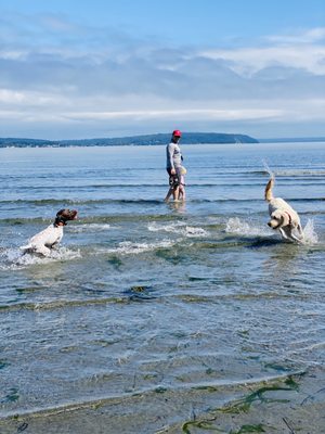 DOUBLE BLUFF BEACH - Updated July 2024 - 175 Photos & 70 Reviews - 6374 ...