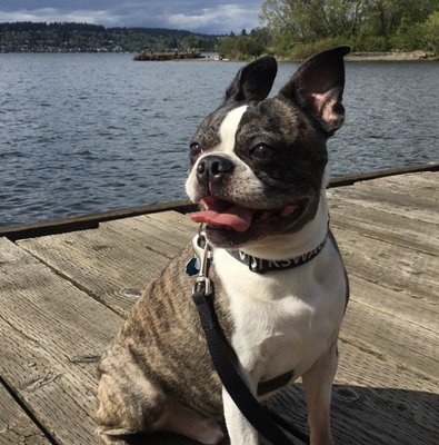 BUCKLEY VETERINARY HOSPITAL - Updated July 2025 - 33 Reviews - 28801 ...