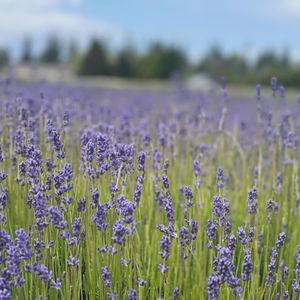 STYMIE’S BAR AND GRILL - Updated July 2025 - 47 Photos & 107 Reviews ...