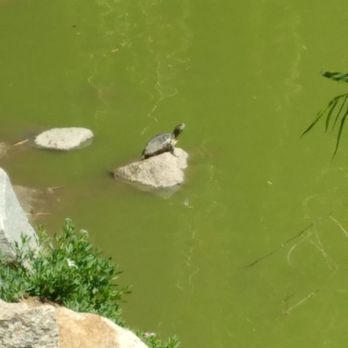 LINDO LAKE COUNTY PARK - Updated June 2024 - 283 Photos & 39 Reviews ...