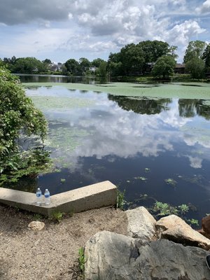 ELL POND PARK - Updated June 2025 - 24 Photos - Main St & Lebanon St ...