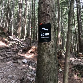 BCMC GROUSE TRAIL - Updated November 2024 - 25 Photos - 6400 Nancy ...
