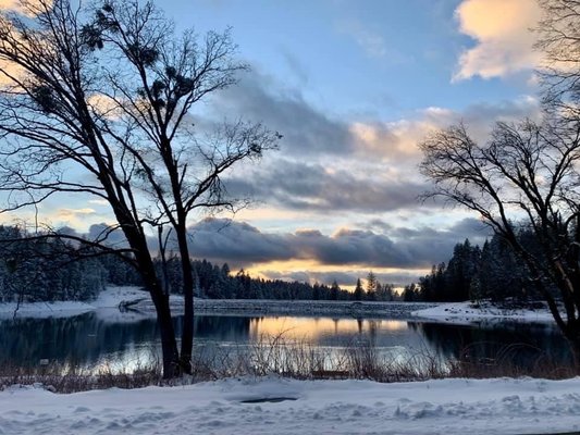 FOREBAY PARK - Updated October 2025 - 5581 Gail Dr, Pollock Pines ...