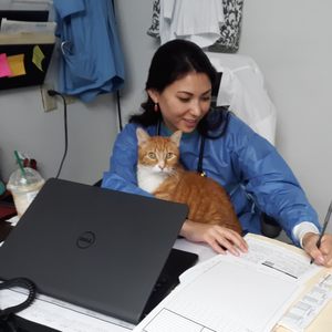 HIGH DESERT ANIMAL CARE HOSPITAL - Updated October 2025 - 47 Photos ...