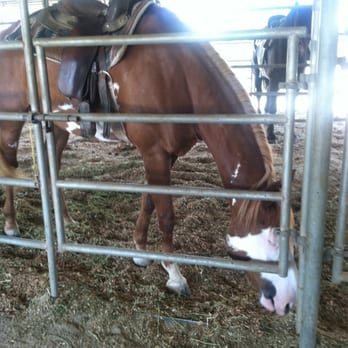 LOS ANGELES EQUESTRIAN CENTER - Updated October 2024 - 130 Photos & 77 ...