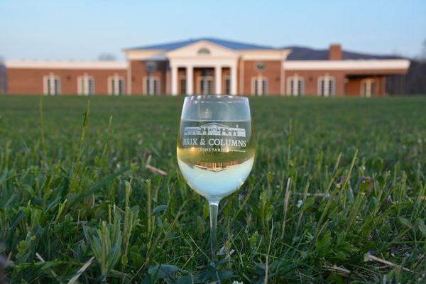 BRIX & COLUMNS VINEYARDS - 143 Photos & 69 Reviews - 1501 Dave Berry Rd ...