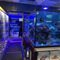 THE REEF AQUARIUM SHOP - Updated December 2025 - 133 Photos & 83 ...