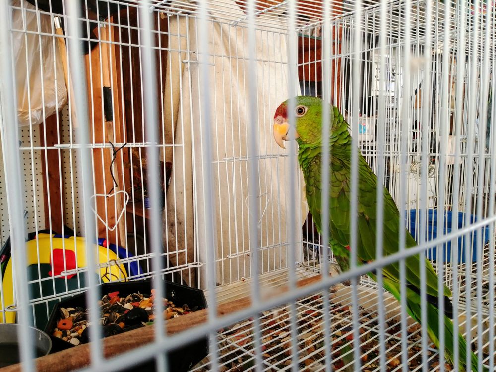 TRADERS VILLAGE - Updated October 2024 - 255 Photos & 131 Reviews ...