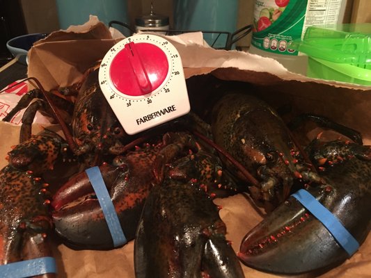 CAPE FISH & LOBSTER COMPANY - Updated November 2025 - 18 Photos & 44 ...