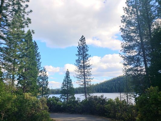 SUGAR PINE RESERVOIR - 53 Photos & 15 Reviews - Forest Rd 10 Sugar Pine ...