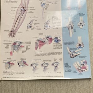 KAYAL ORTHOPAEDIC CENTER - Updated June 2025 - 102 Photos & 52 Reviews ...