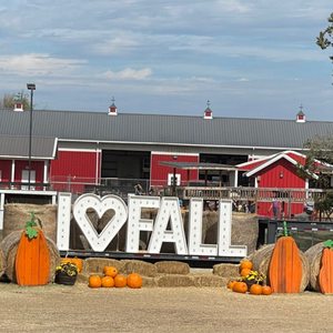 ORR FAMILY FARM - 209 Photos & 63 Reviews - 14400 S Western Ave ...