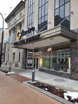 CILANTRO THAI & SUSHI RESTAURANT - Updated May 2025 - 256 Photos & 348 ...
