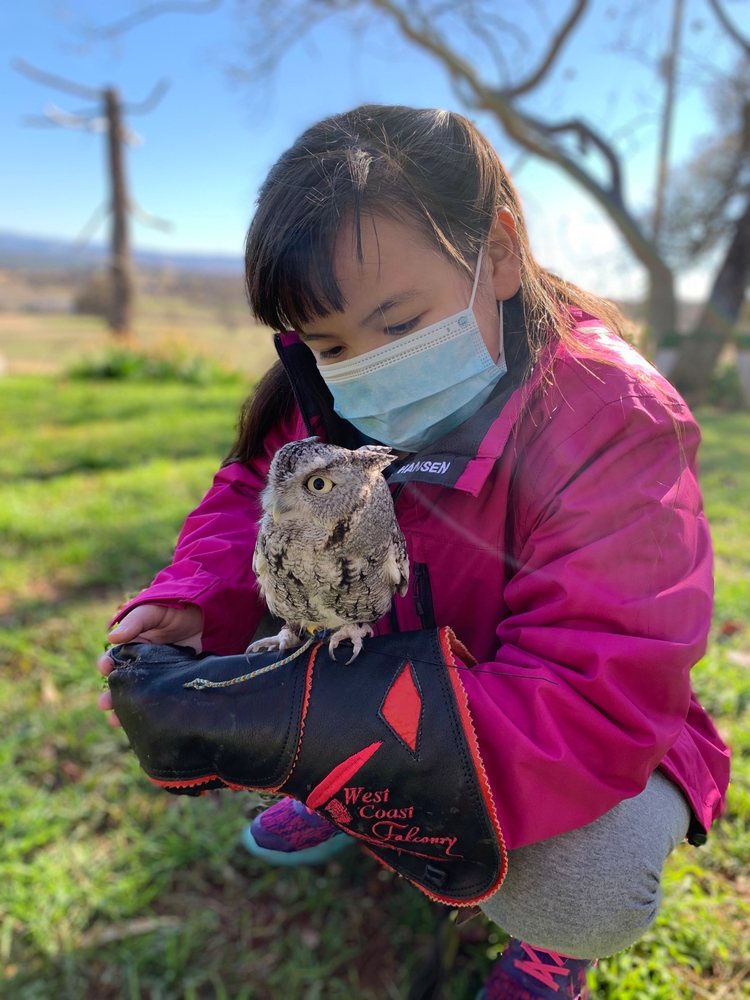 WEST COAST FALCONRY - Updated December 2024 - 166 Photos & 157 Reviews ...