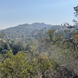 FRYMAN CANYON PARK - 218 Photos & 89 Reviews - Hiking - 8401 Mulholland ...