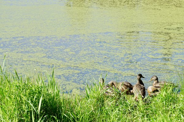 SUMMIT METRO PARKS - Updated August 2025 - 14 Photos & 10 Reviews - 975 ...