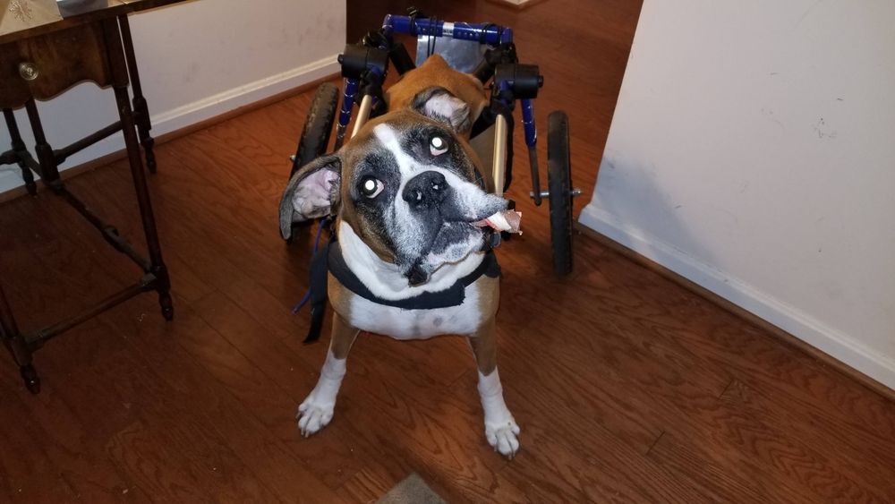 CATON RADIO - Updated February 2025 - 72 Photos & 53 Reviews - 6328 ...