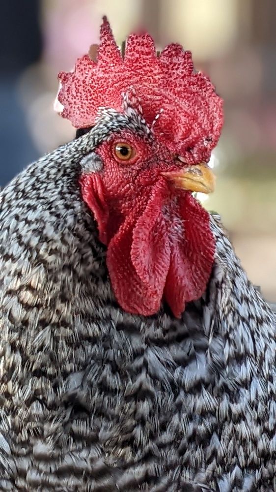 COYOTE CROSSING RANCH - Updated December 2025 - 23 Photos - 3725 Willow ...