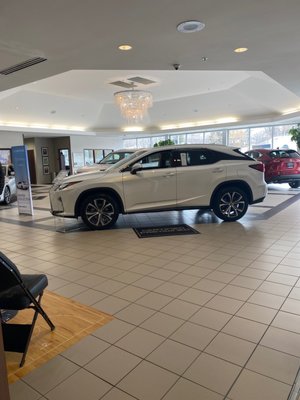 LEXUS OF WAYZATA - Updated December 2025 - 34 Photos & 79 Reviews ...