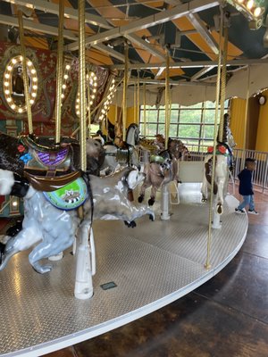 MESKER PARK ZOO & BOTANIC GARDEN - Updated 05/2025 - 262 Photos & 40 Reviews - 1545 Mesker Park ...