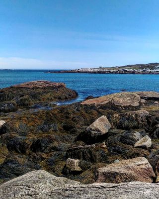 CRYSTAL CRESCENT BEACH - 37 Photos & 19 Reviews - Beaches - Sambro ...