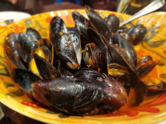 LUBRANO’S TRATTORIA - 209 Photos & 369 Reviews - 2439 Rte 34 S ...