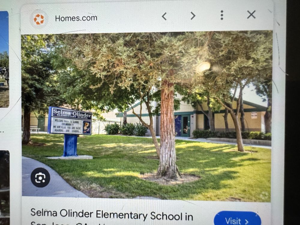 SELMA OLINDER PARK - Updated January 2026 - 45 Photos & 15 Reviews ...