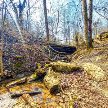 CREASEY MAHAN NATURE PRESERVE - Updated January 2026 - 83 Photos & 21 ...
