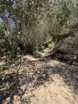 NORTH CLAIREMONT RECREATION CENTER - Updated January 2026 - 115 Photos ...