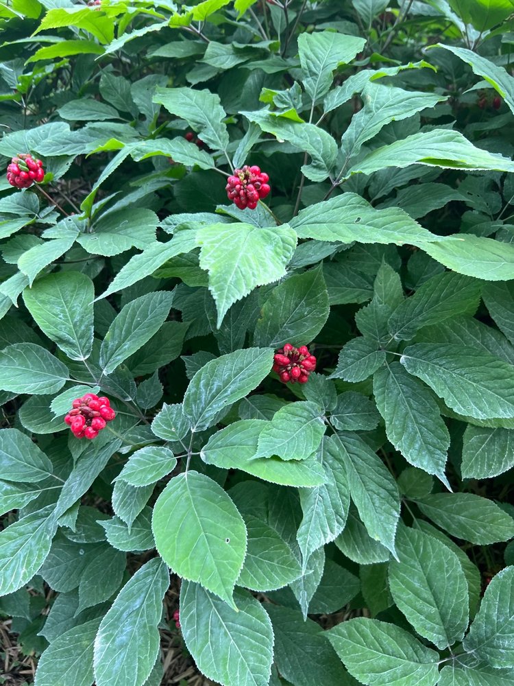 DRATH FAMILY FARM - Updated January 2026 - N6028 Drath Rd, Ogdensburg ...