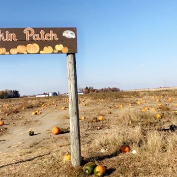 STUCKEY FARM ORCHARD AND CIDER MILL - Updated August 2024 - 165 Photos ...