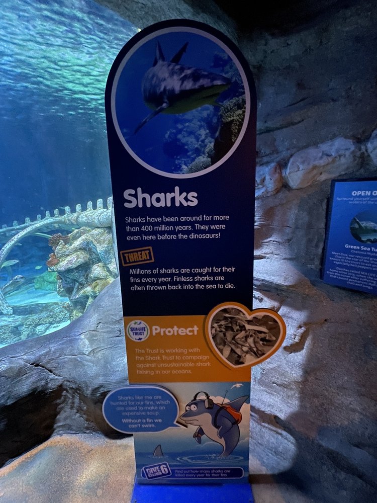SEA LIFE ARIZONA AQUARIUM - 542 Photos & 325 Reviews - 5000 Arizona ...