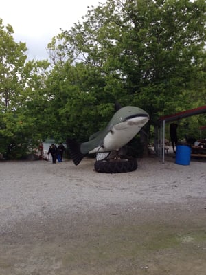 MERMET SPRINGS - Updated January 2026 - 11 Reviews - 6724 N US 45 Rd ...