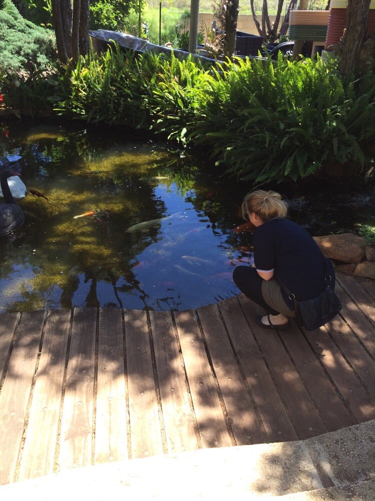 WOODVALE FISH & LILY FARM - Updated September 2025 - 26 Woodvale Dr ...