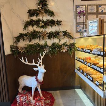 COLOMBIA KALIENTE - Updated December 2025 - 533 Photos & 105 Reviews ...