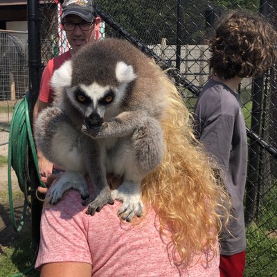 IT’S A ZOO LIFE - 103 Photos & 11 Reviews - 4313 Nc Hwy 42 ...