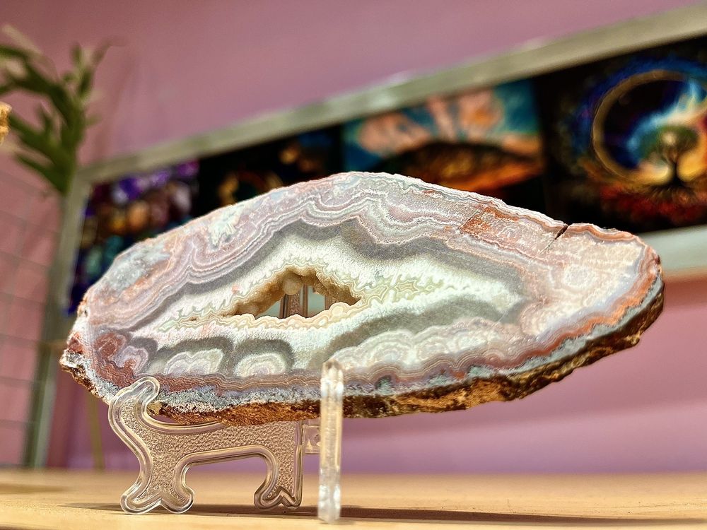 ALICE’S WANDER LAND - Updated July 2025 - 8251 Day Dr, Parma, Ohio ...