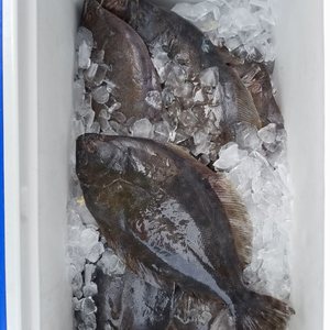 CAPTAIN SID’S SEAFOOD - Updated November 2024 - 59 Photos & 66 Reviews ...