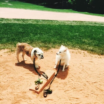 EGLINTON PARK - Updated December 2025 - 13 Photos - 160 Eglinton Avenue ...