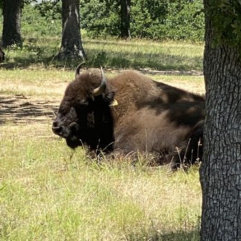 WOOLAROC MUSEUM & WILDLIFE PRESERVE - Updated November 2025 - 320 ...