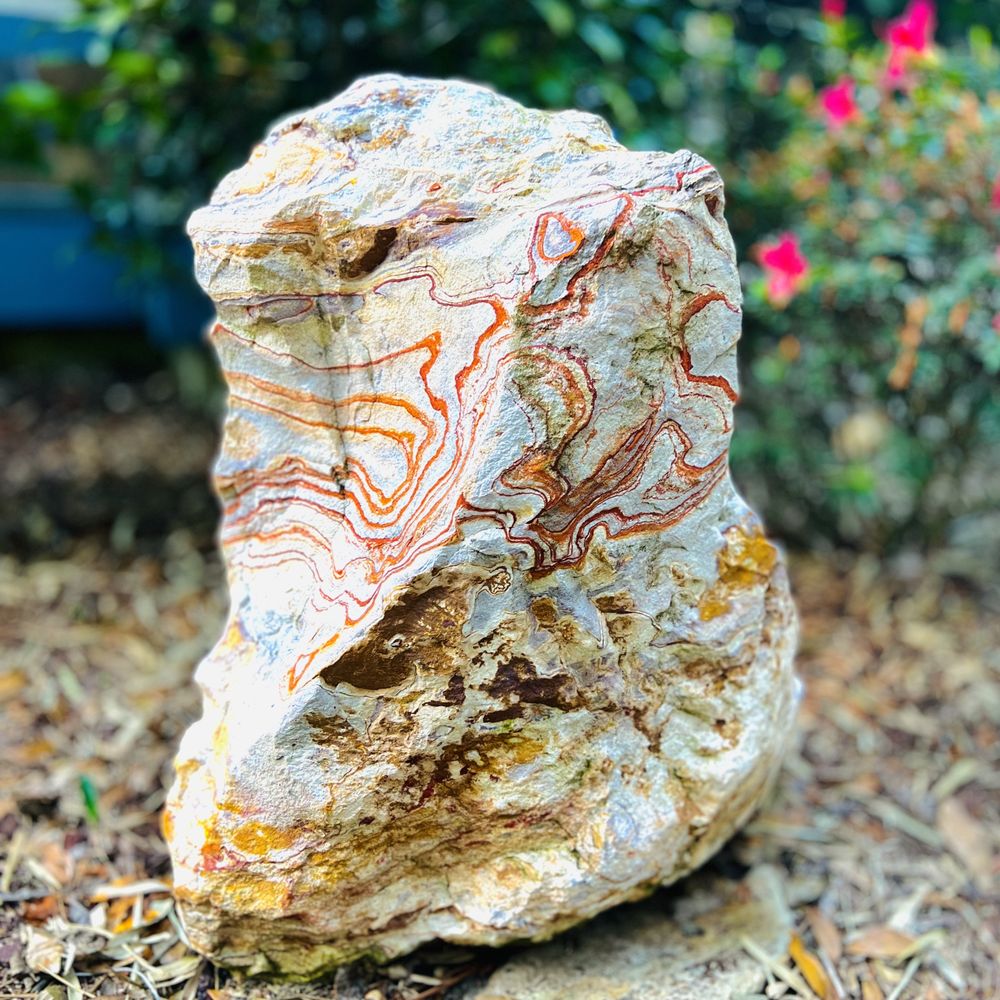 STONE PLUS - Updated April 2026 - 34 Photos - 1670 Blanding Blvd ...