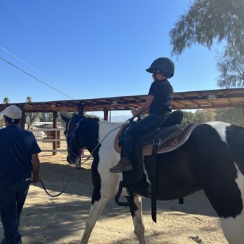 THE LAZY C RANCH - Updated December 2025 - 453 Photos & 92 Reviews - 88 ...