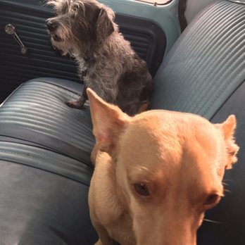 FOOTHILL RANCH COMMUNITY PARK - Updated October 2025 - 105 Photos & 14 ...