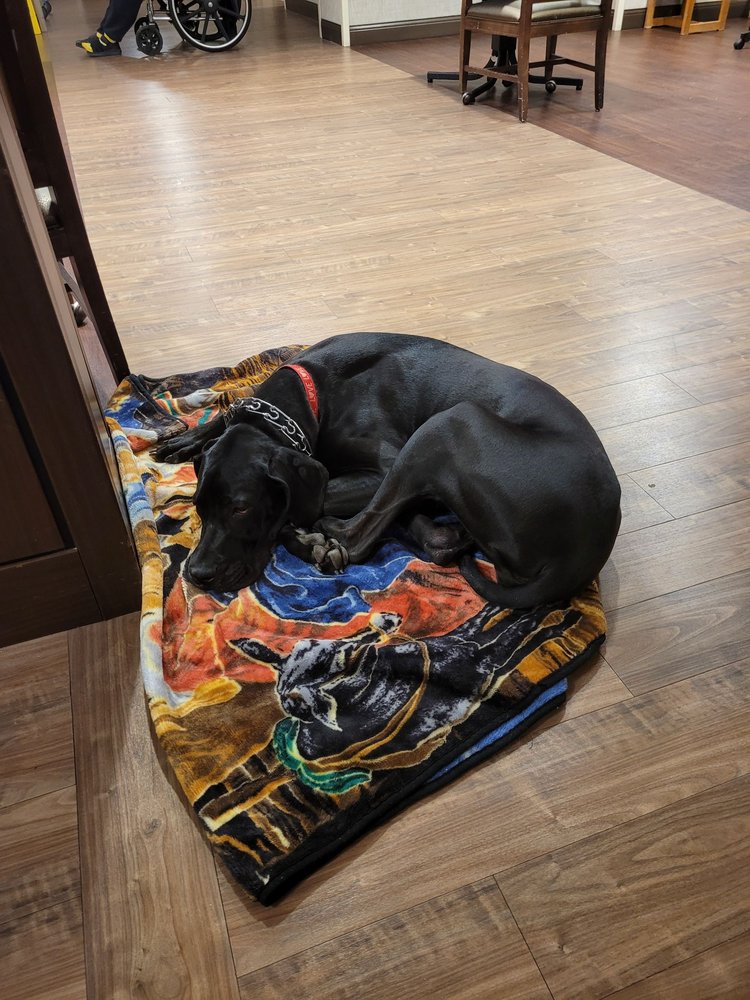 ROLLING HILLS VETERINARY CLINIC - Updated January 2026 - 483 Upper ...