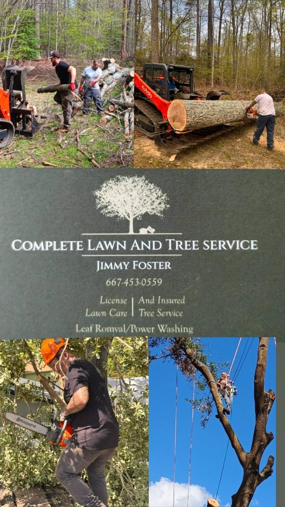 COMPLETE LAWN AND TREE SERVICE - Updated August 2025 - 23 Photos ...