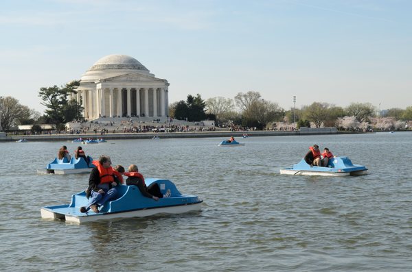 TIDAL BASIN PADDLE BOATS - Updated May 2026 - 101 Photos & 78 Reviews ...
