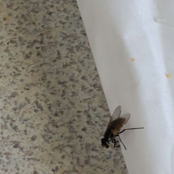 FINISH LINE CAFE - Updated January 2025 - 15 Photos & 27 Reviews - 3617 ...