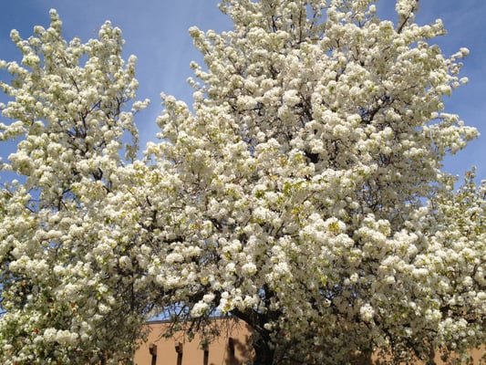 MARGARET K. TROKE BRANCH LIBRARY - Updated July 2025 - 59 Photos & 21 ...